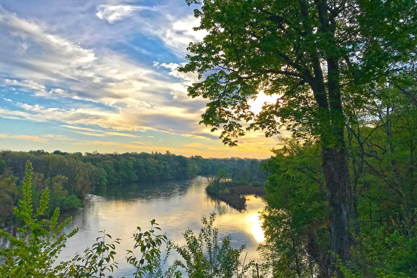Next summer public will be able to visit Armintrout-Milbocker preserve ...